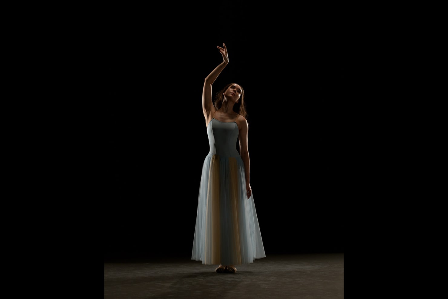 The 75th Anniversary Season Opens with a Large-Scale Video Installation by David Michalek | New ...